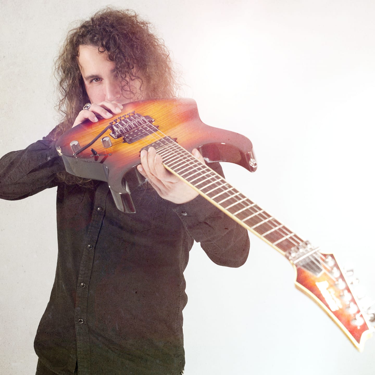 ROBERT RODRIGO - The Metal Family